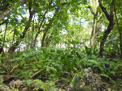 Tanya’s year of studying Te Reo Maori